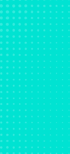 Protein Shake + Iron – Athena Nutrition